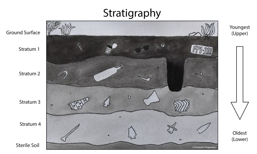Stratigraphy Diagram Final Edit – Max Wallace Illustration
